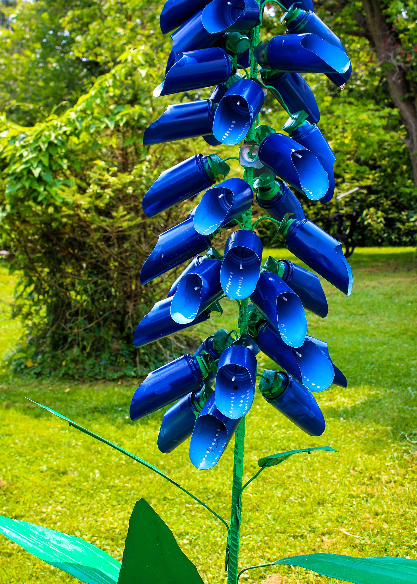Blue Foxglove Flower
